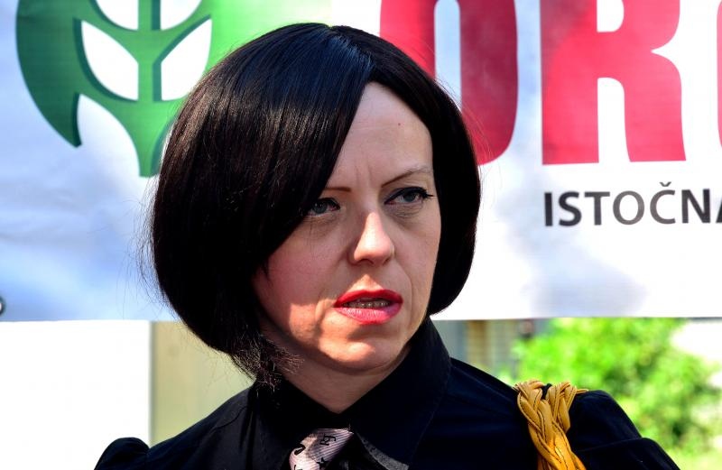 Pad Mosta u anketama: Zašto treći put uvijek dramatično propadne ...