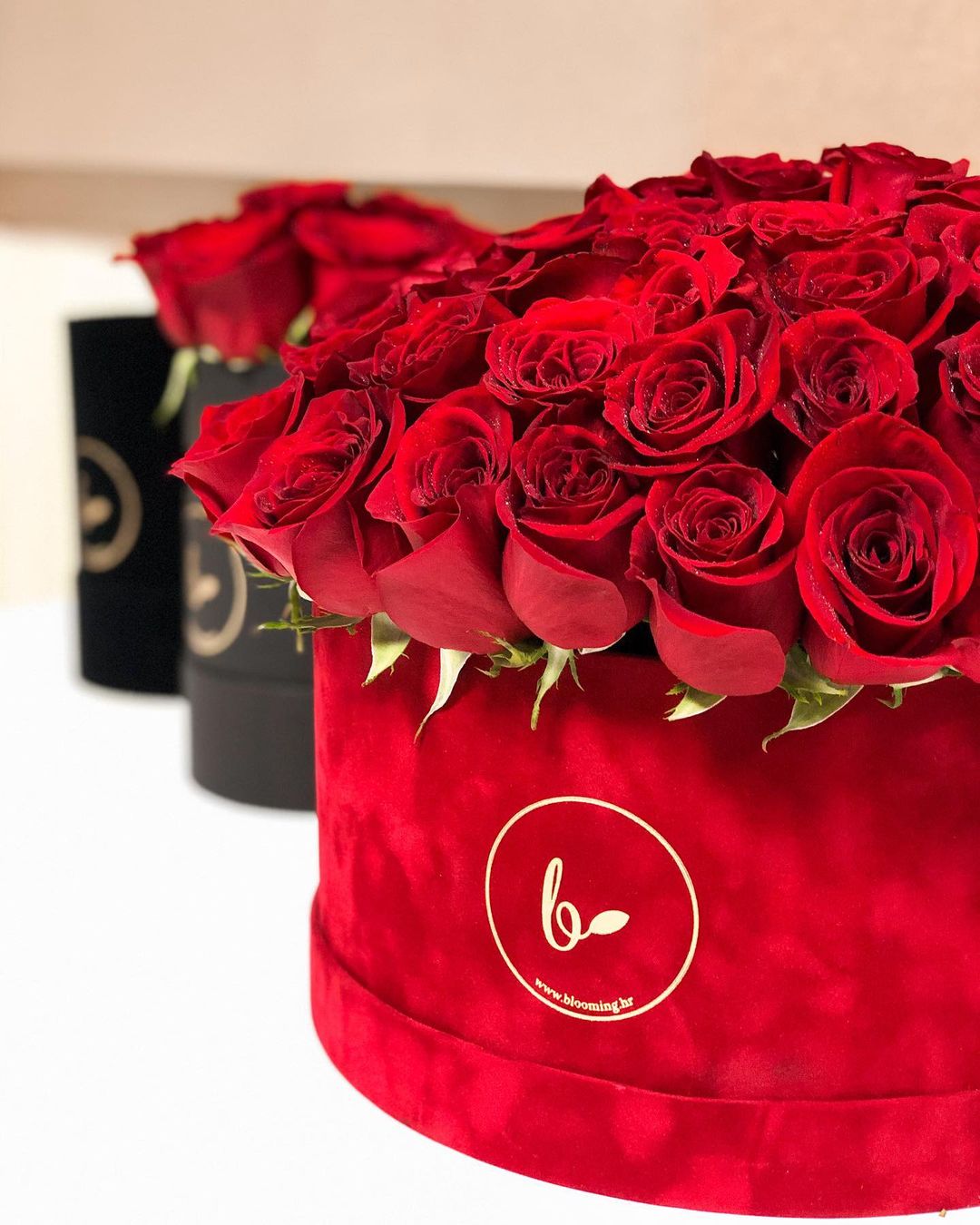 Provjerili smo što nude poznate zagrebačke cvjećarnice. Ruže s trešnjama iz Čilea zvuče ...