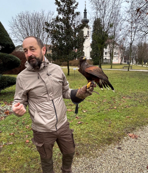 Koprivnica angažirala sokolara za rastjerivanje vrana | Telegram.hr