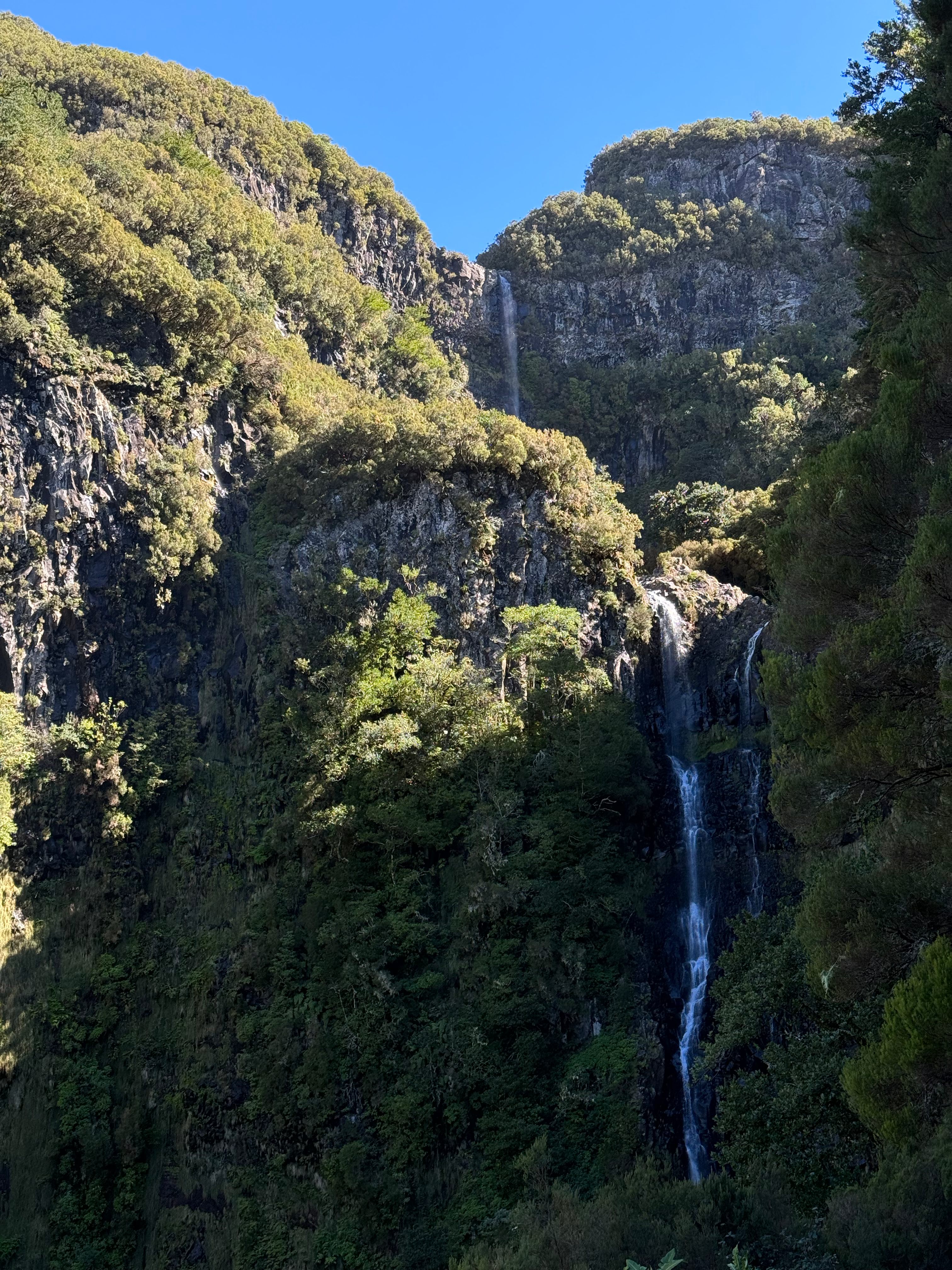 Madeira: 5-dnevno putovanje na egzotični portugalski otok | Super1.hr