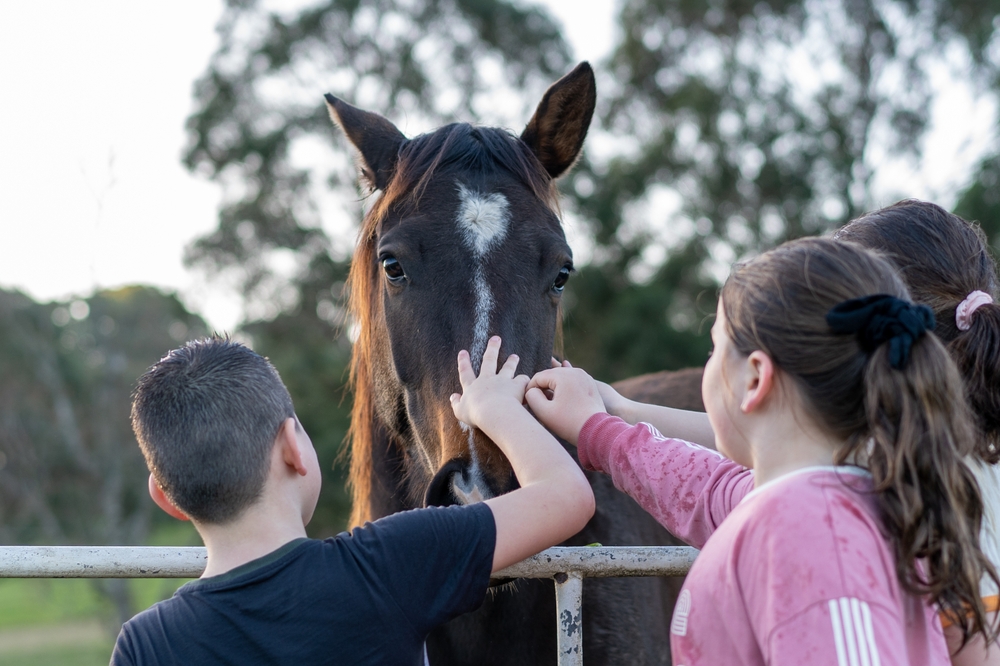 Autizam: Kako ga prepoznati u ranoj dobi i najčešći simptomi? | Telegram.hr