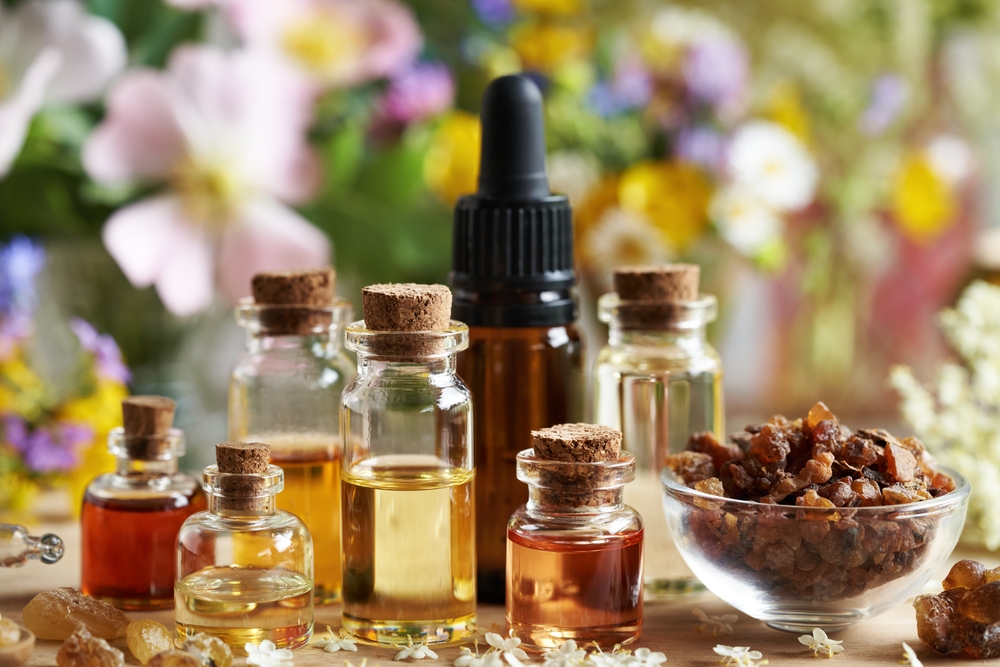 Tamjan biljka: 7 dobrobiti za zdravlje, uzgoj i kako ga koristiti ...