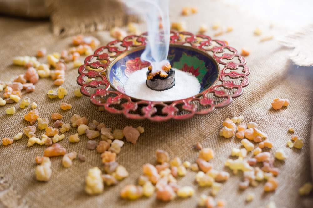 Tamjan biljka: 7 dobrobiti za zdravlje, uzgoj i kako ga koristiti ...