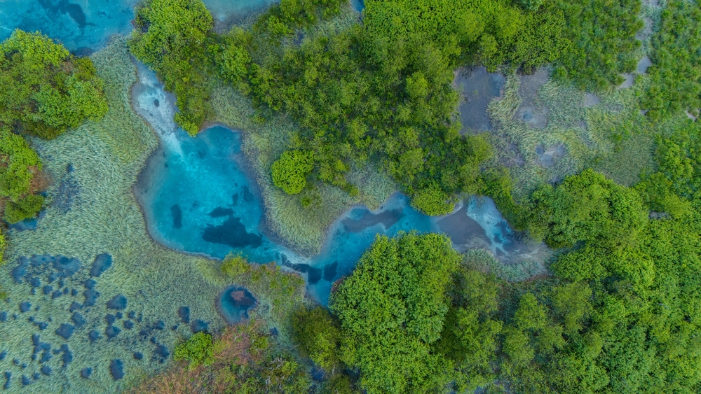 Izvor Save: Najljepše destinacije i aktivnosti u blizini | Telegram.hr