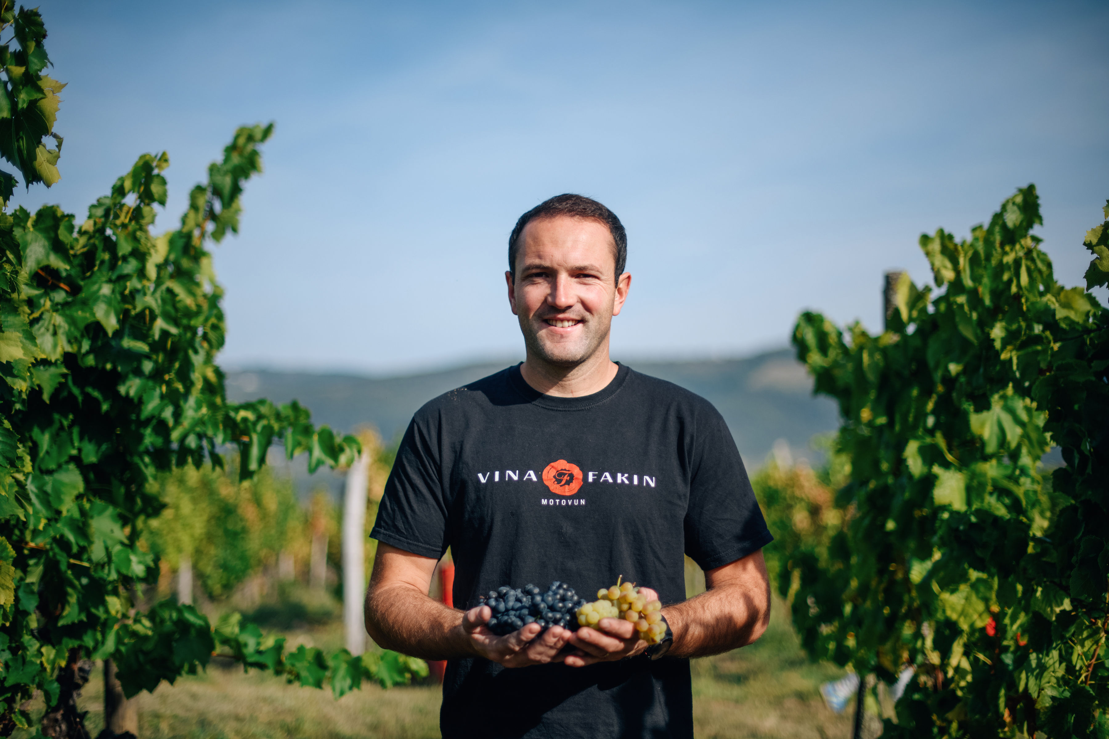 Vinarija Fakin – Tradicija, strast i vrhunska kvaliteta iz srca Istre ...