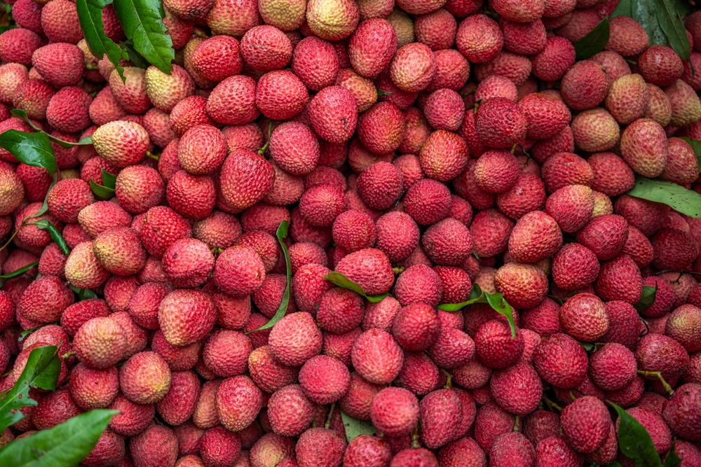 Tropsko voće u Hrvatskoj: Koje egzotično voće se uzgaja kod nas ...