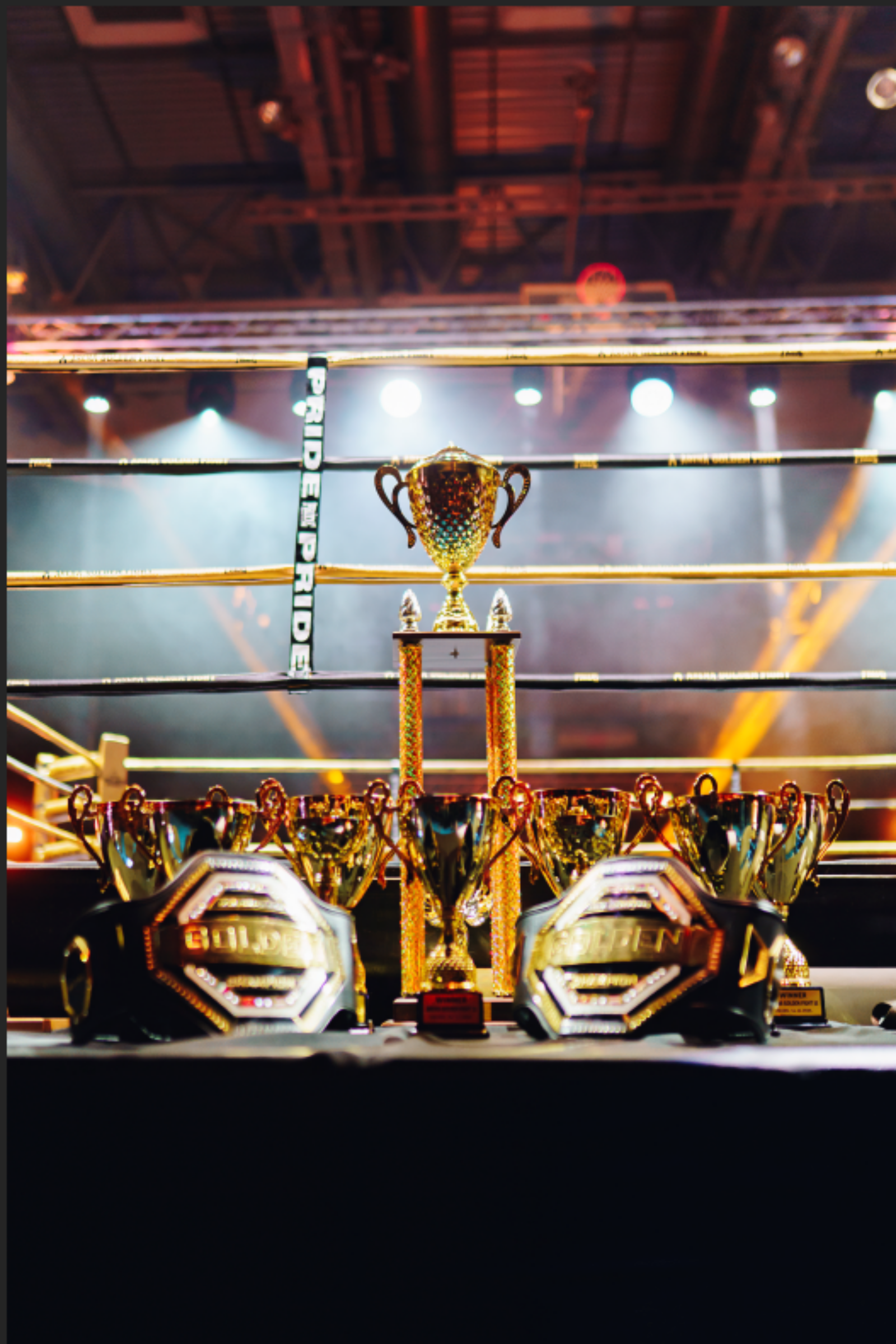 'Neka igre počnu': Arena Golden Fight u Osijeku | Telegram.hr